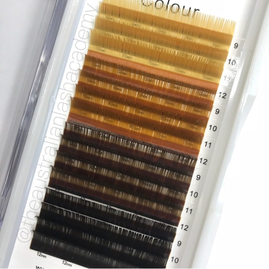 Brown Lashes - Australian Lash Academy